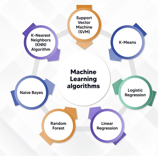 Top 7 Machine Learning Algorithms